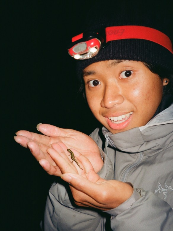 People | Viorel D. Popescu